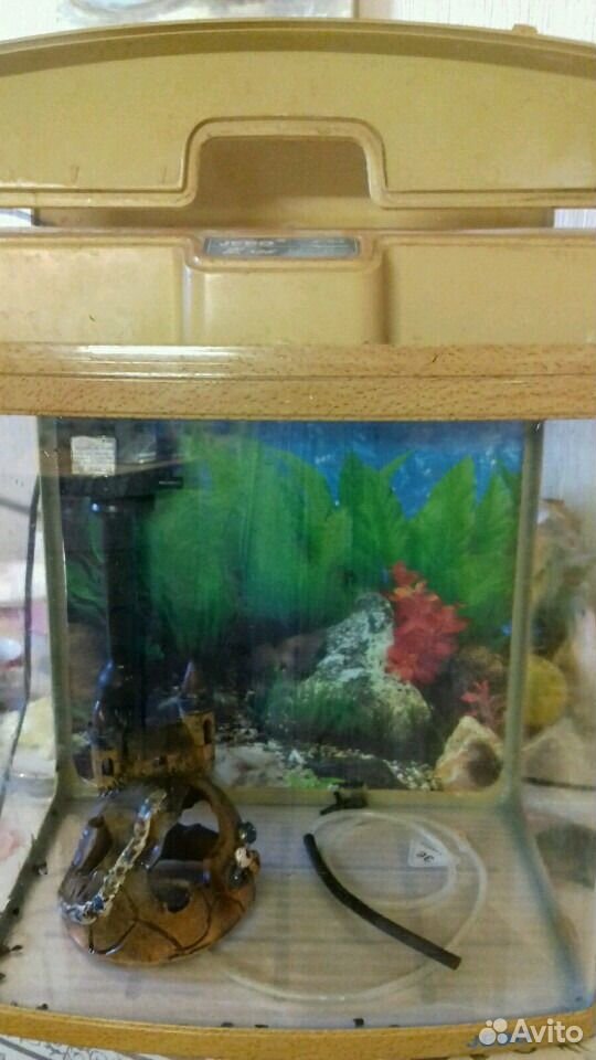 Аквариум