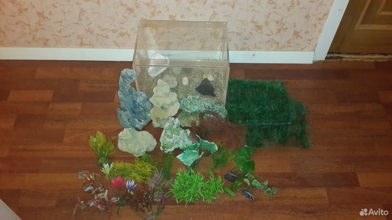 Аквариум для мальков с грунтом + скалы и растения