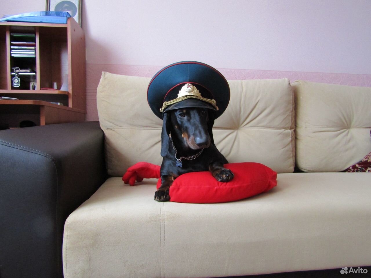 Вязка