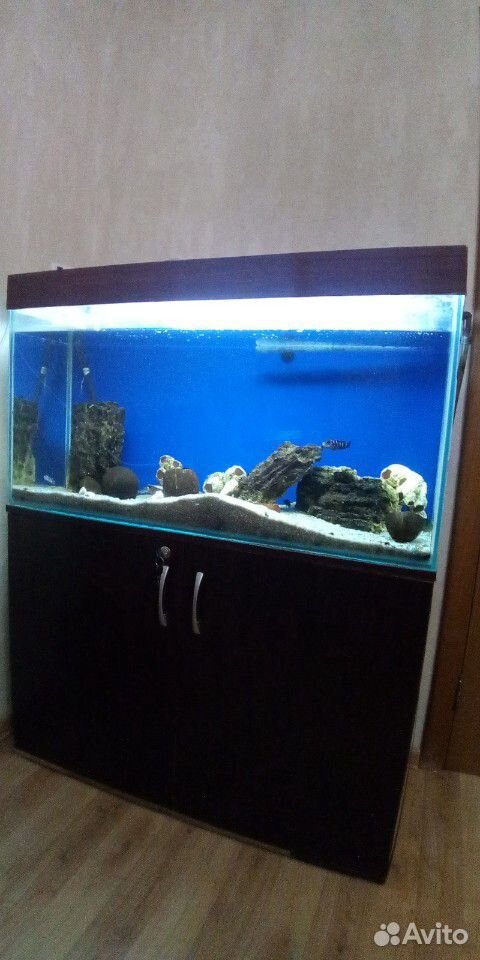 Аквариум 175 литров