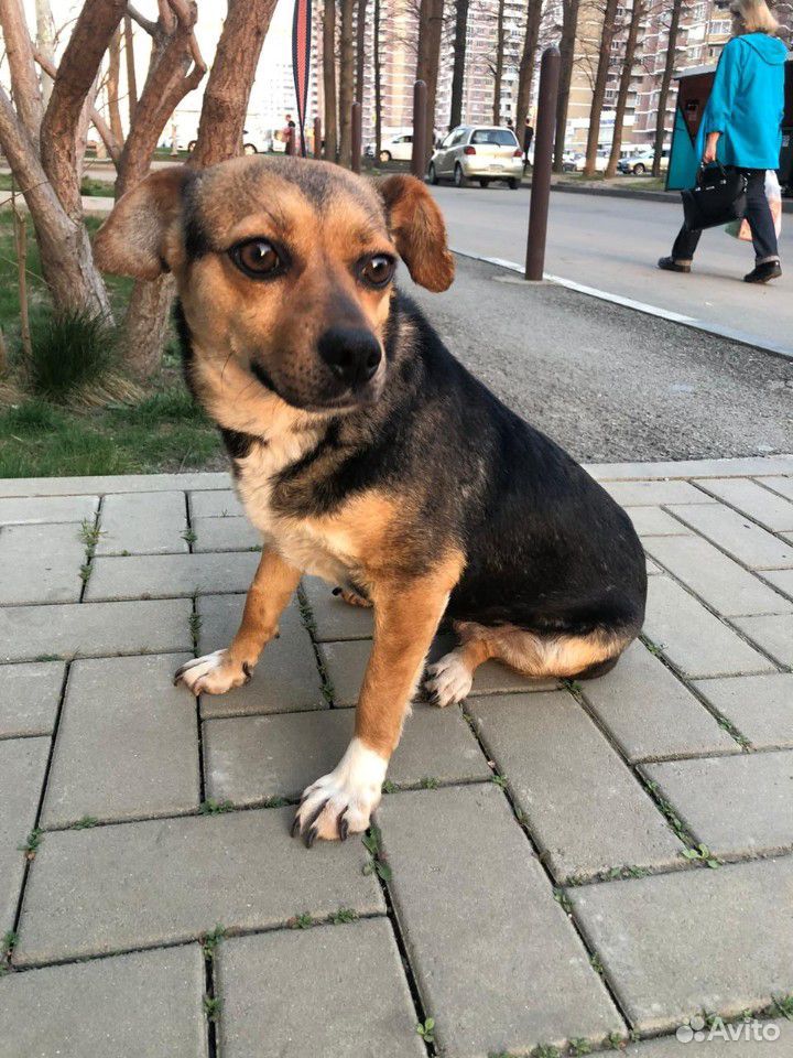 Любаня