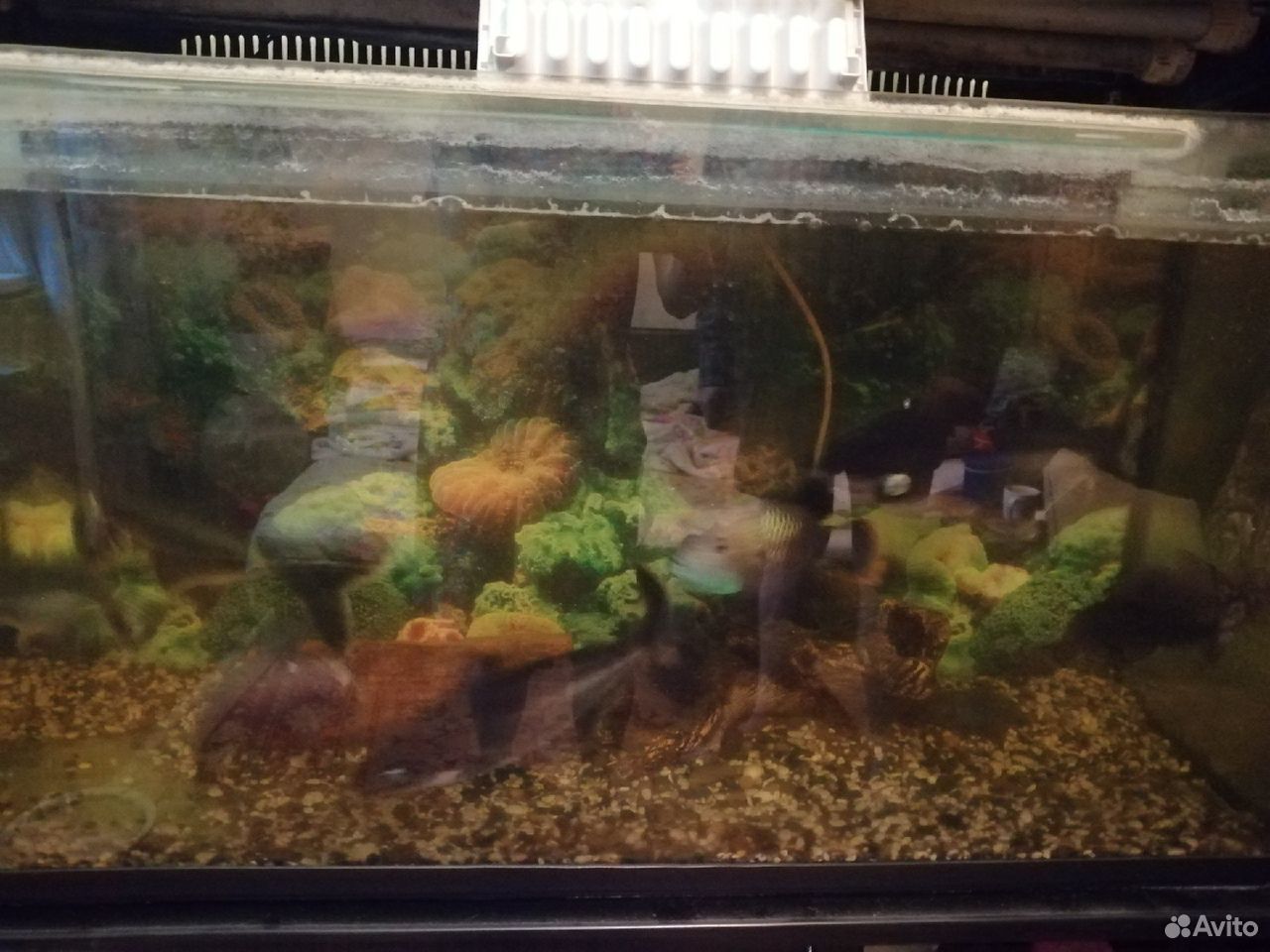 Аквариум Aquael 200 л