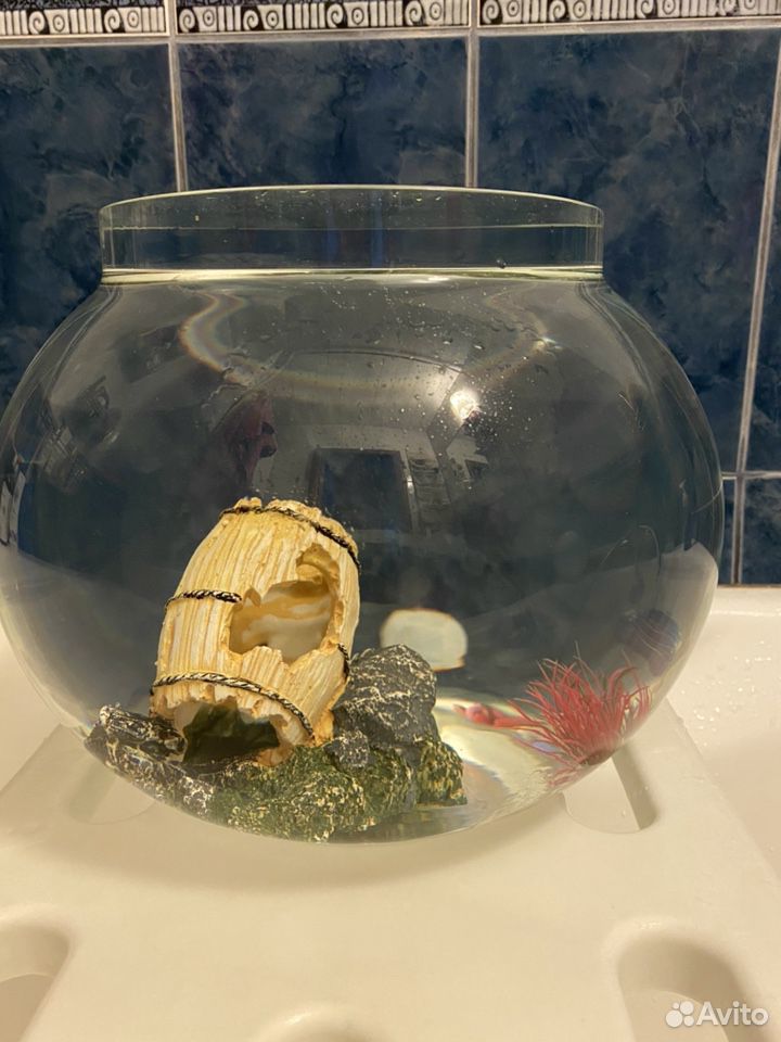 Продам аквариум 10л