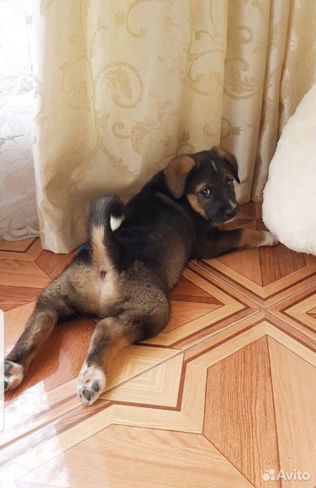 Мальчишка