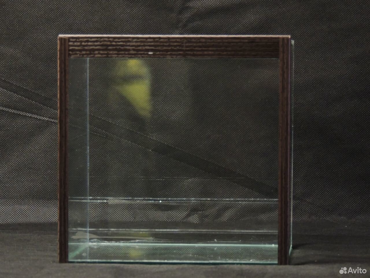 Террариумы паучатники