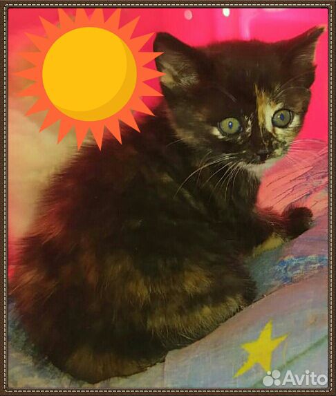 Нежная девочка в добрые руки