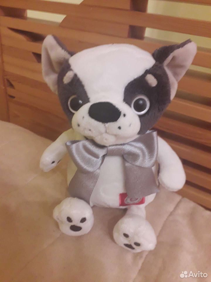 Милая собачка