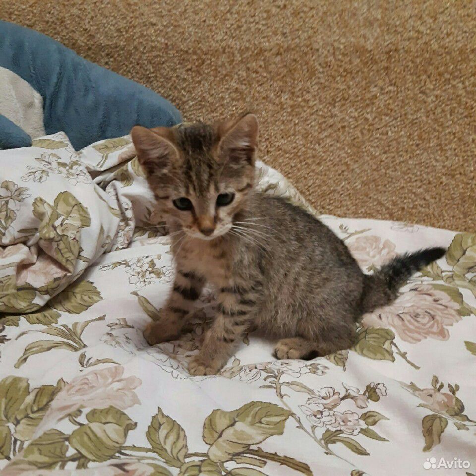 Классный мальчик