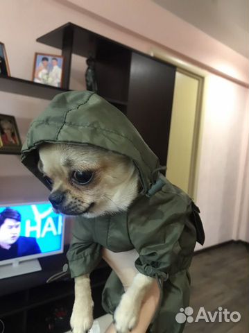 Приглашаем на вязку