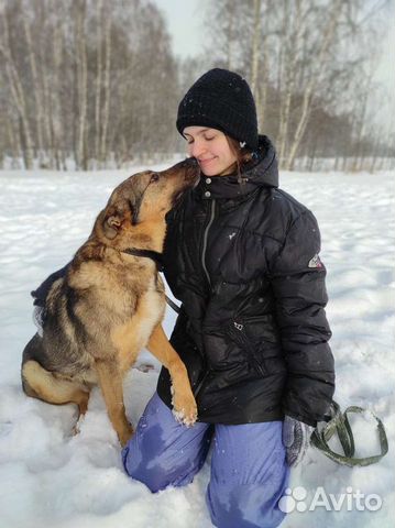 Очень нежная собака Стар из приюта