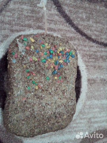 Островок для черепахи