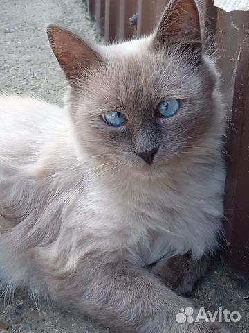 В самые добрые ручки