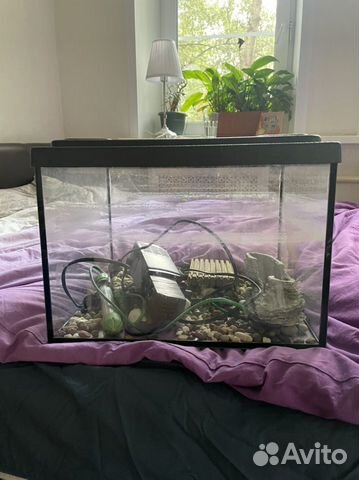 Аквариум для черепах