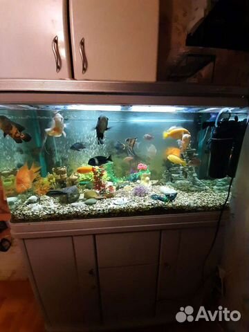 Аквариум