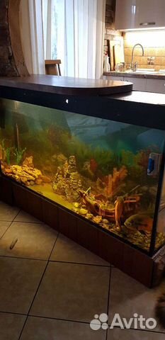 Аквариум с рыбками