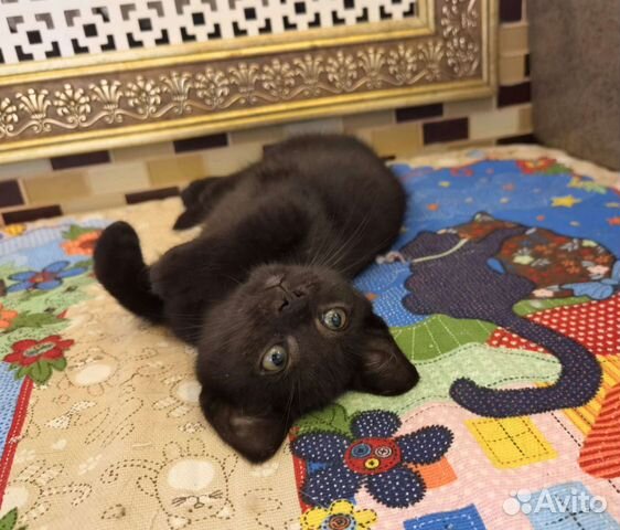 Малыш в добрые руки