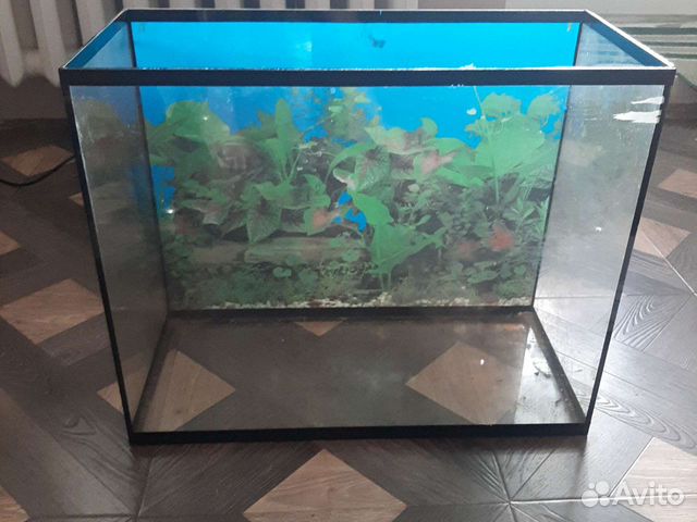 Аквариум
