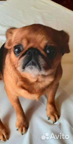 Возрастная девочка