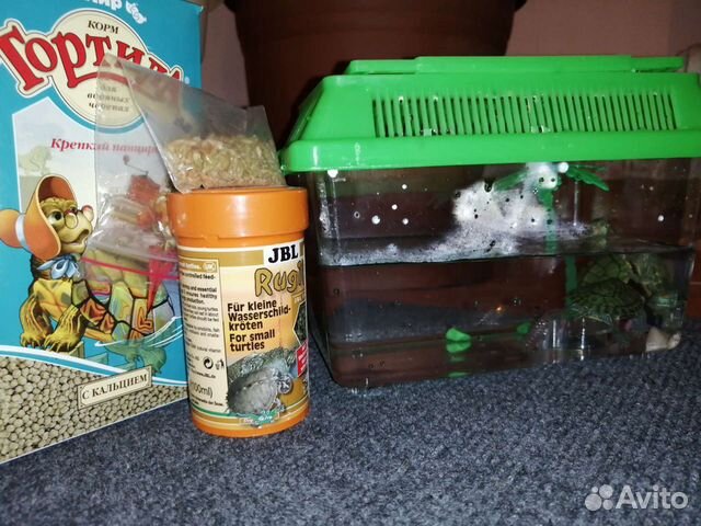 Черепашки с переноской