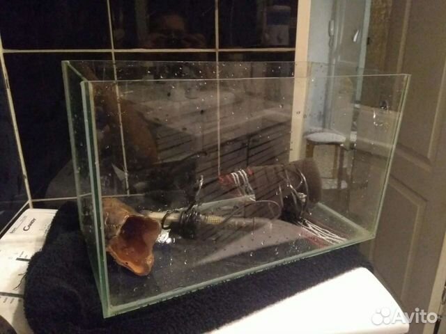 Аквариум 25 литров, нагреватель,фильтр, бревно