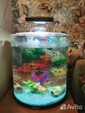 Аквариум