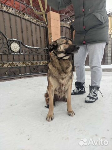 Марта подросток 10 месяцев