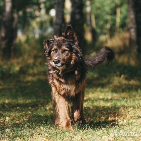 Мудрая и спокойная девочка