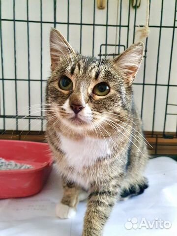 Ласковой Кнопке некуда идти