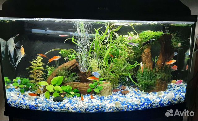 Комплект Аквариум aquael 102л с грунтом