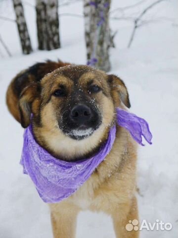 Маленькая принцесса из приюта