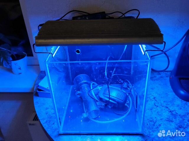 Морской аквариум. Комплект