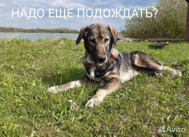 Я за тобой, пойдем домой