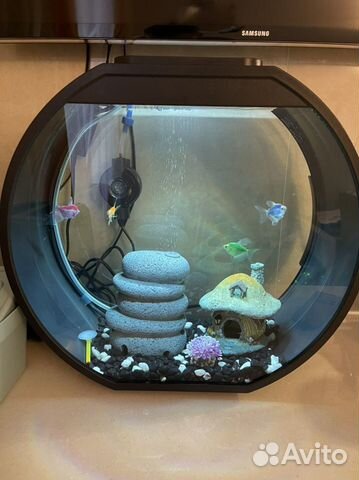 Аквариум. Аквариумный набор 20 л AA Aquarium Deco