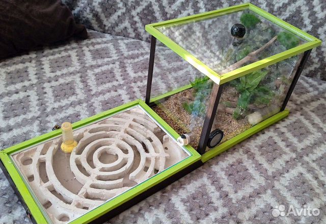 Муравьиная ферма 50 см на 18 см (формикарий)