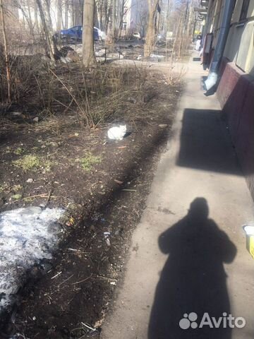 Пристроить кота в дом котик белый с разными глазка