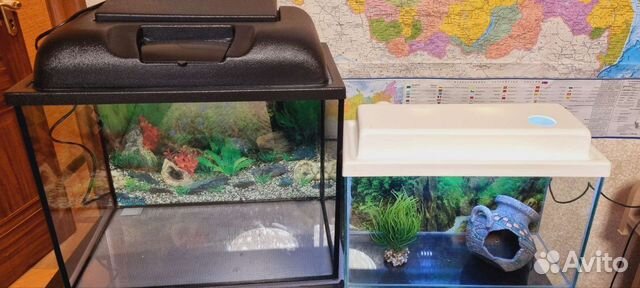 Аквариум