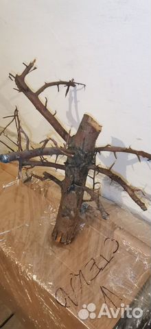 Коряга для аквариума или террариума