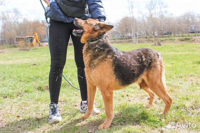Спасите от смерти