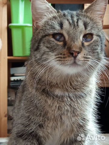 Особенный малыш Пухлик