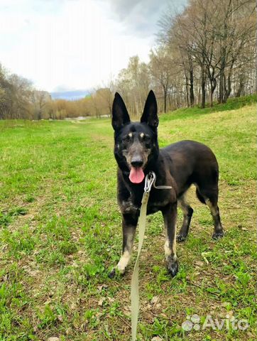 Он еще не потерял любовь к людям