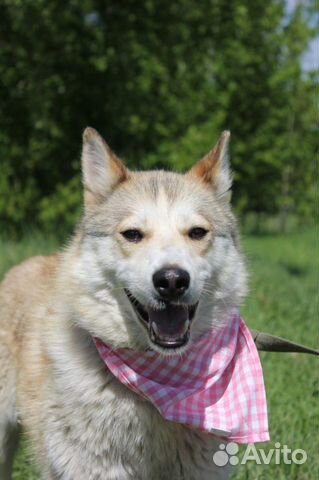 Помогите малышке вырваться из приюта