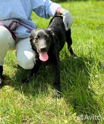 Всё что есть в жизни-решетка клетки