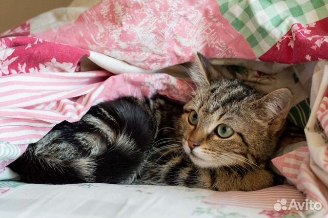 Девочка, 4 месяца