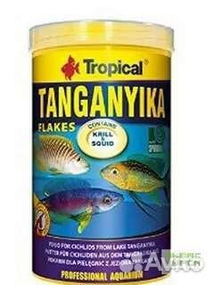Tropical tanganika