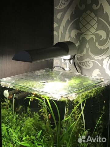 Светильники Dennerle Nano Light 11w, 2шт