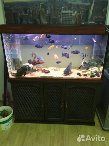 Аквариум 390л с подсветкой