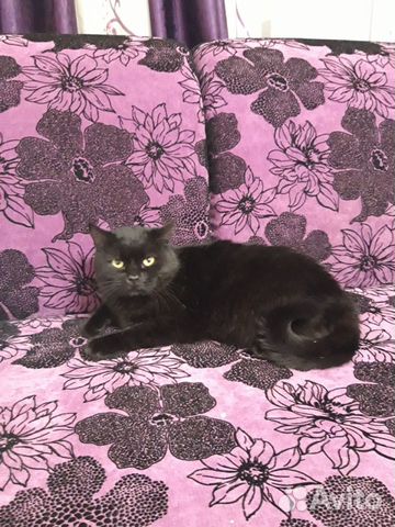 В хорошие руки