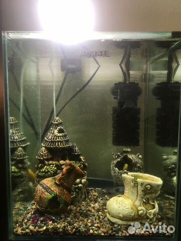 Аквариум