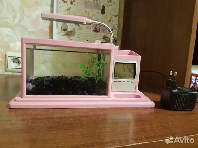 Аквариум для рыбок