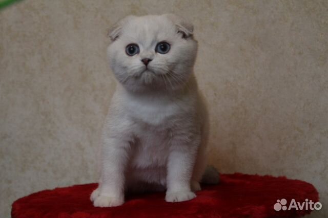 Серебро